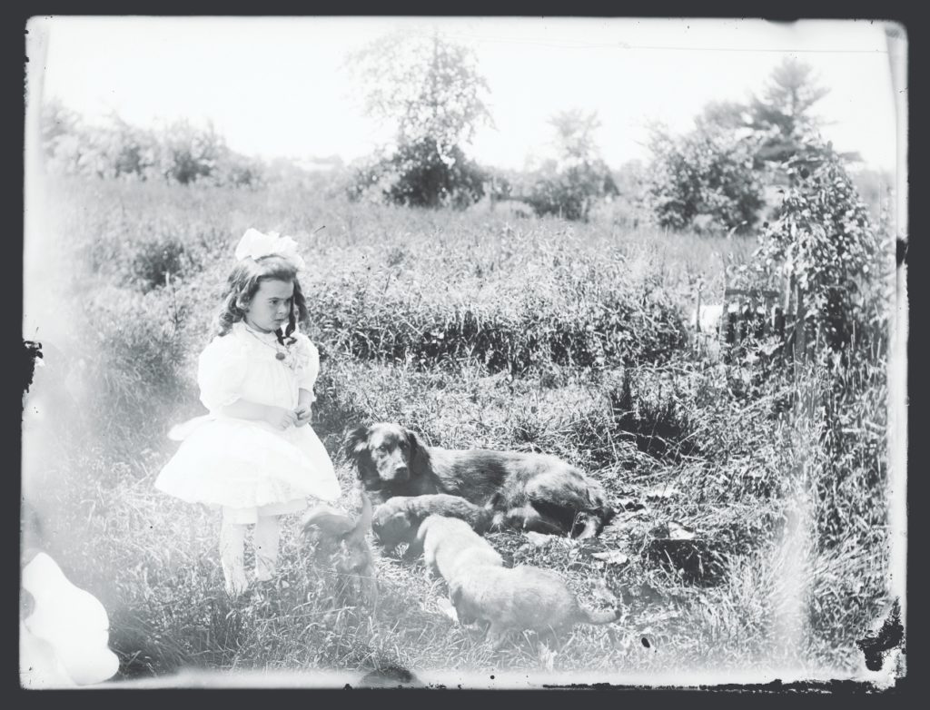 Life in the Dale: Augustus Martin’s Lenox - The Mount | Edith Wharton's ...