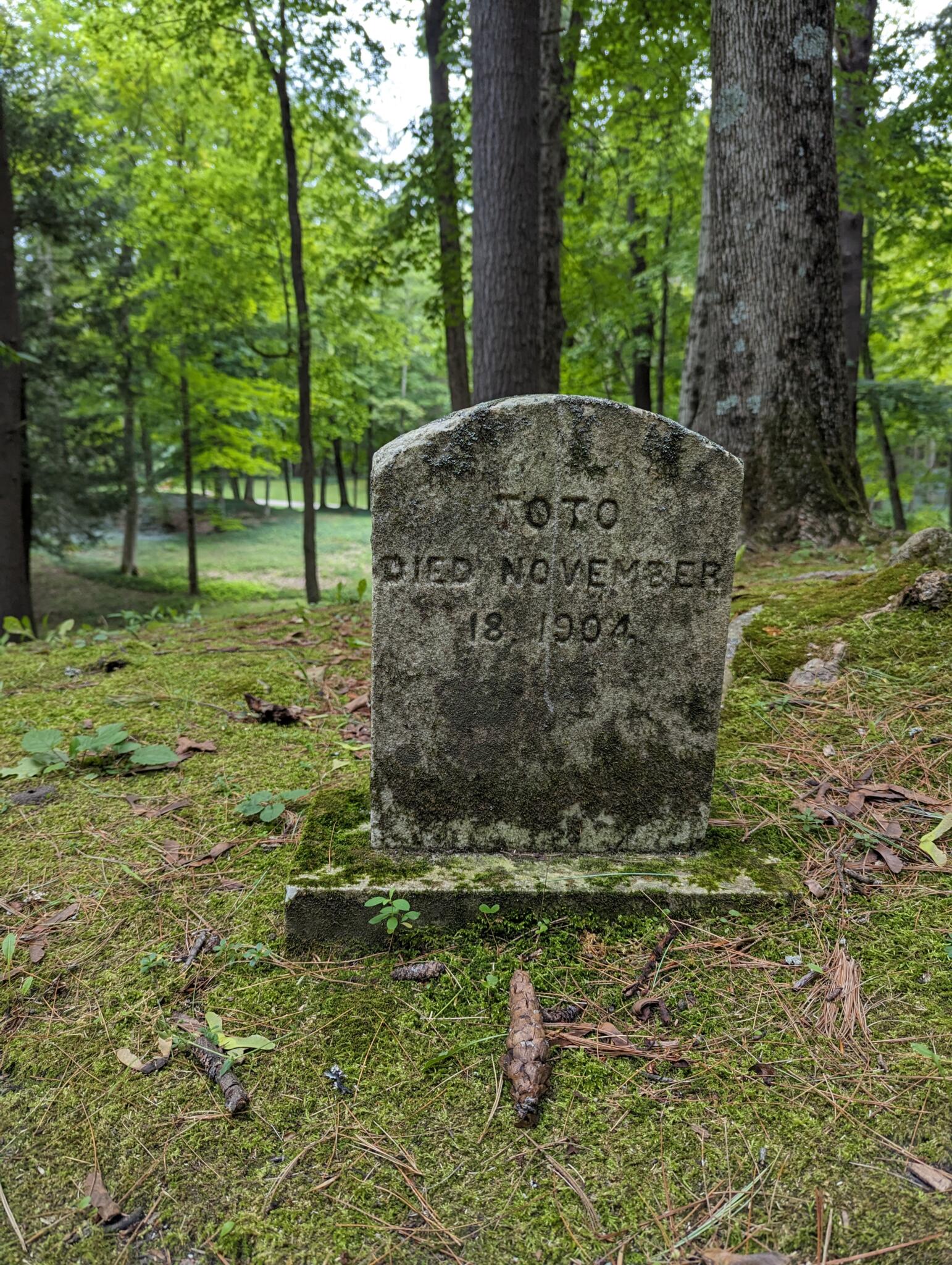 Dogs at The Mount - The Mount | Edith Wharton's Home | Lenox, MA